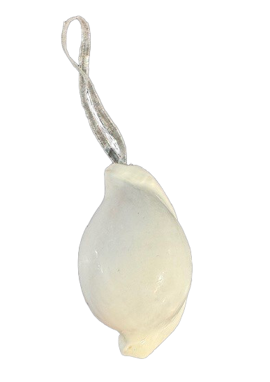 Ovula Shell Hanging White 9cm – Christmas Decorations Brisbane